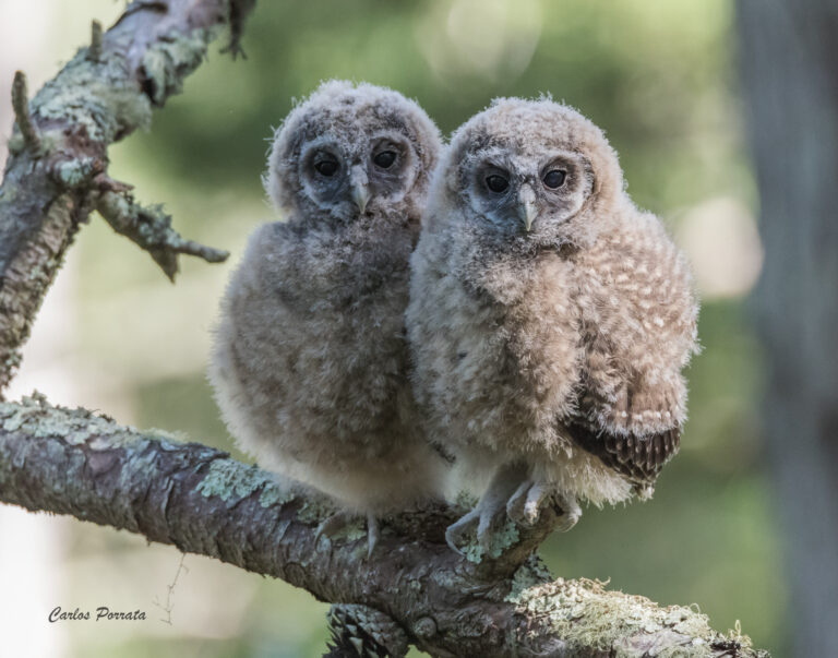 About Us - Point Reyes National Seashore Association
