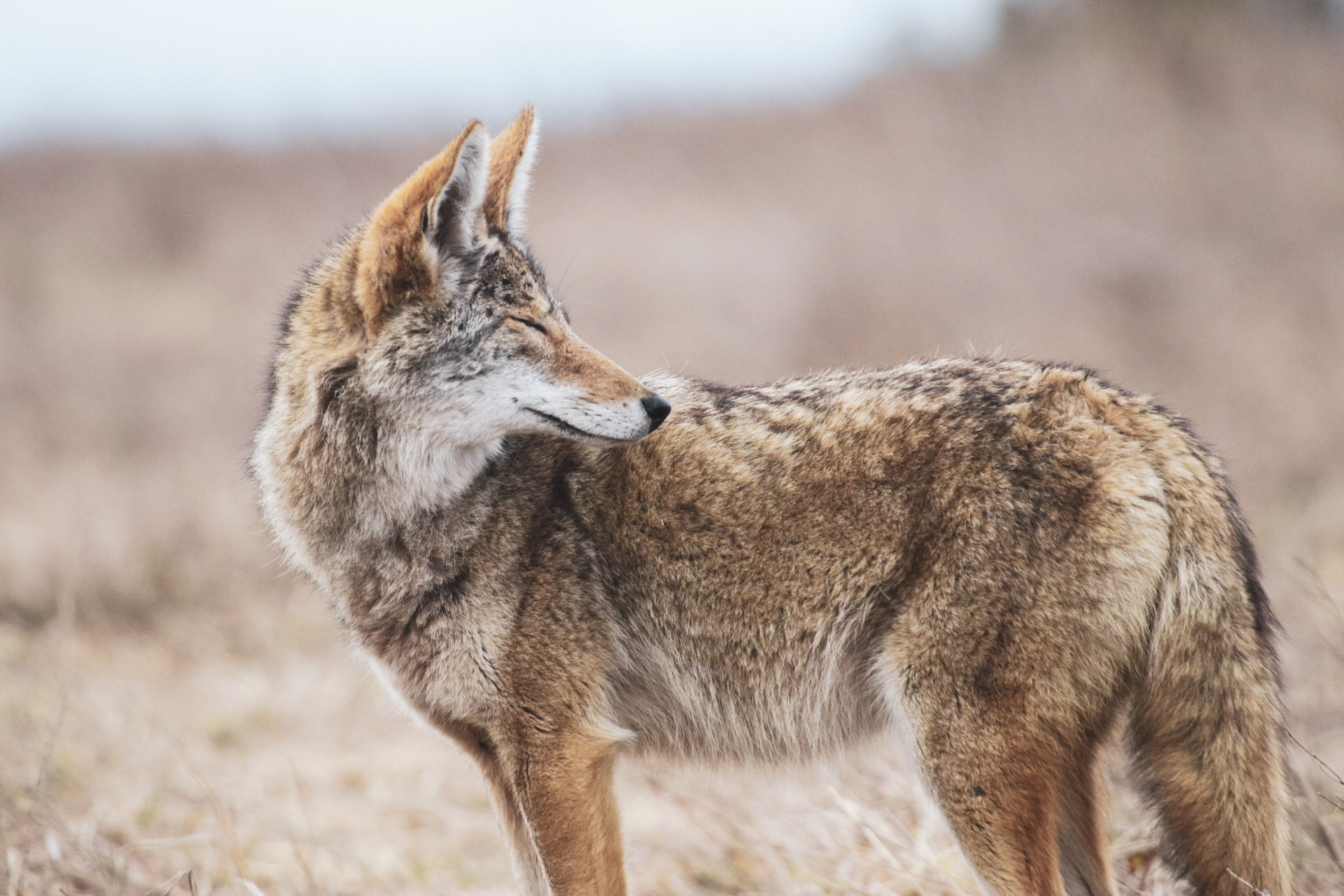 Point Reyes National Seashore Association