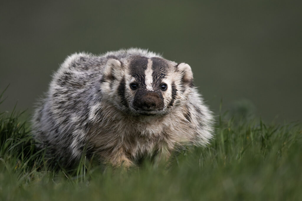 Point Reyes National Seashore Association