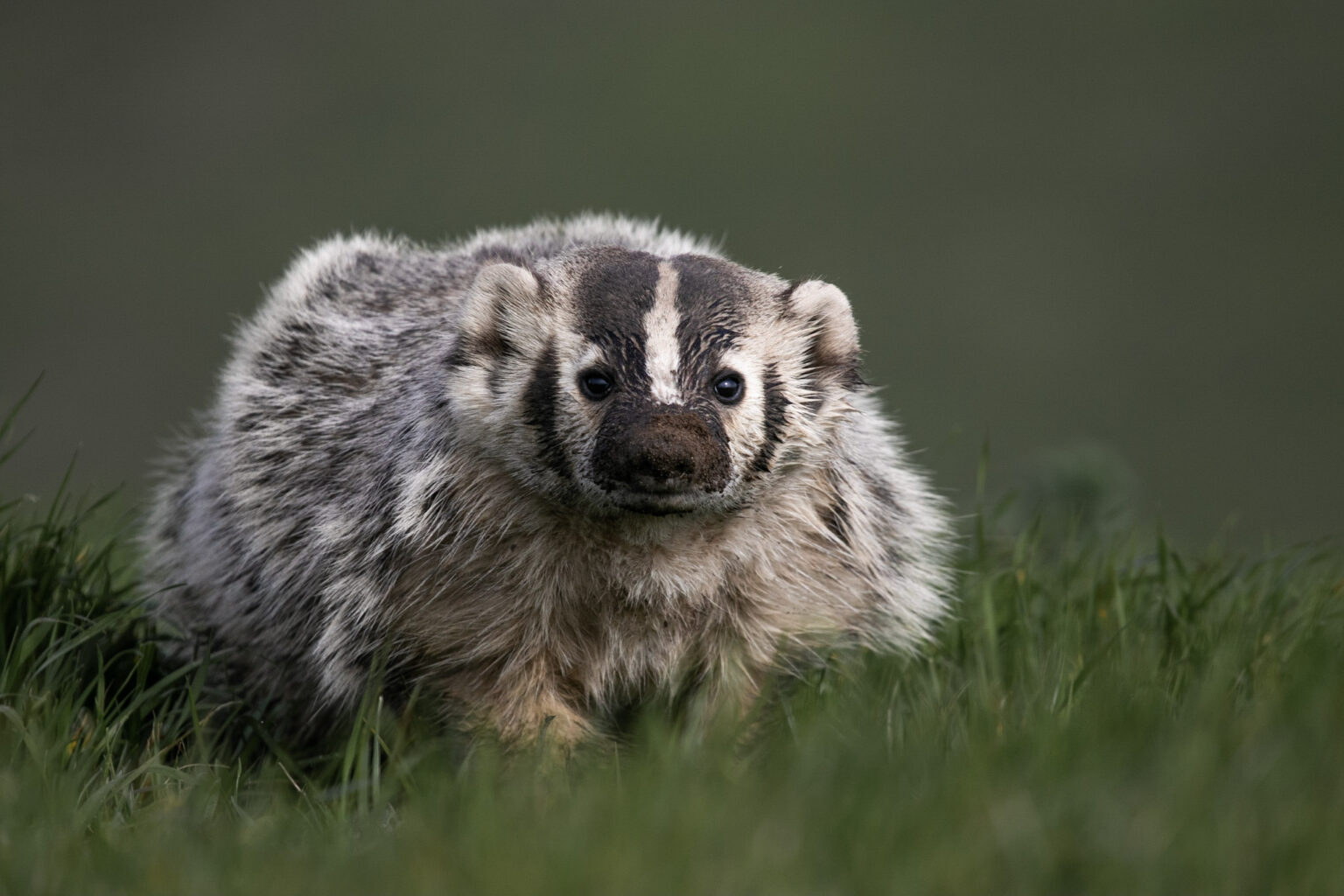 Programs & Events - Point Reyes National Seashore Association