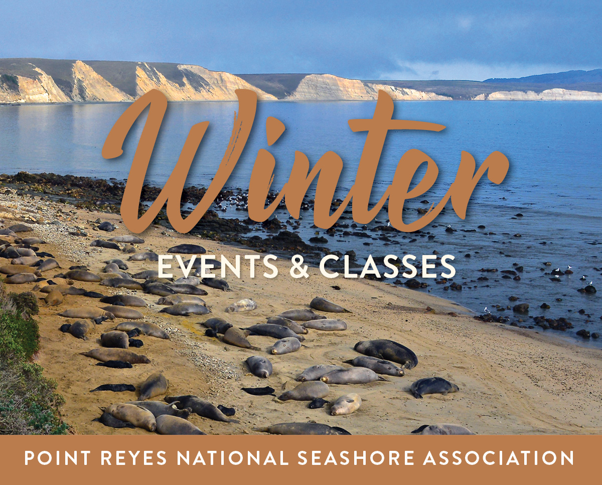 2021 Winter Classes & Programs - Point Reyes National Seashore Association