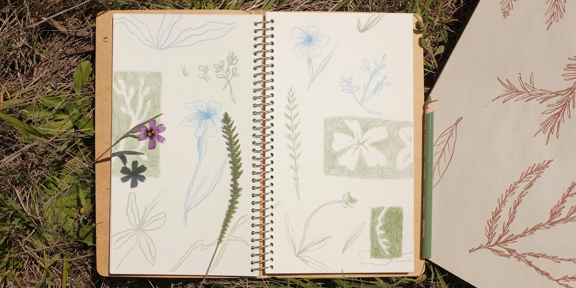 The Art of Nature Journaling - Point Reyes National Seashore Association