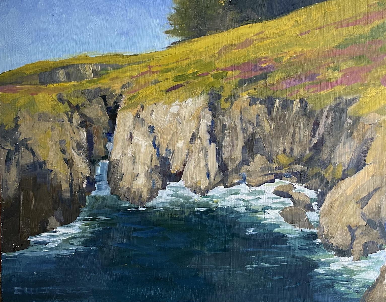 Plein Air Painting in the Park with Tom Soltesz - Point Reyes National ...