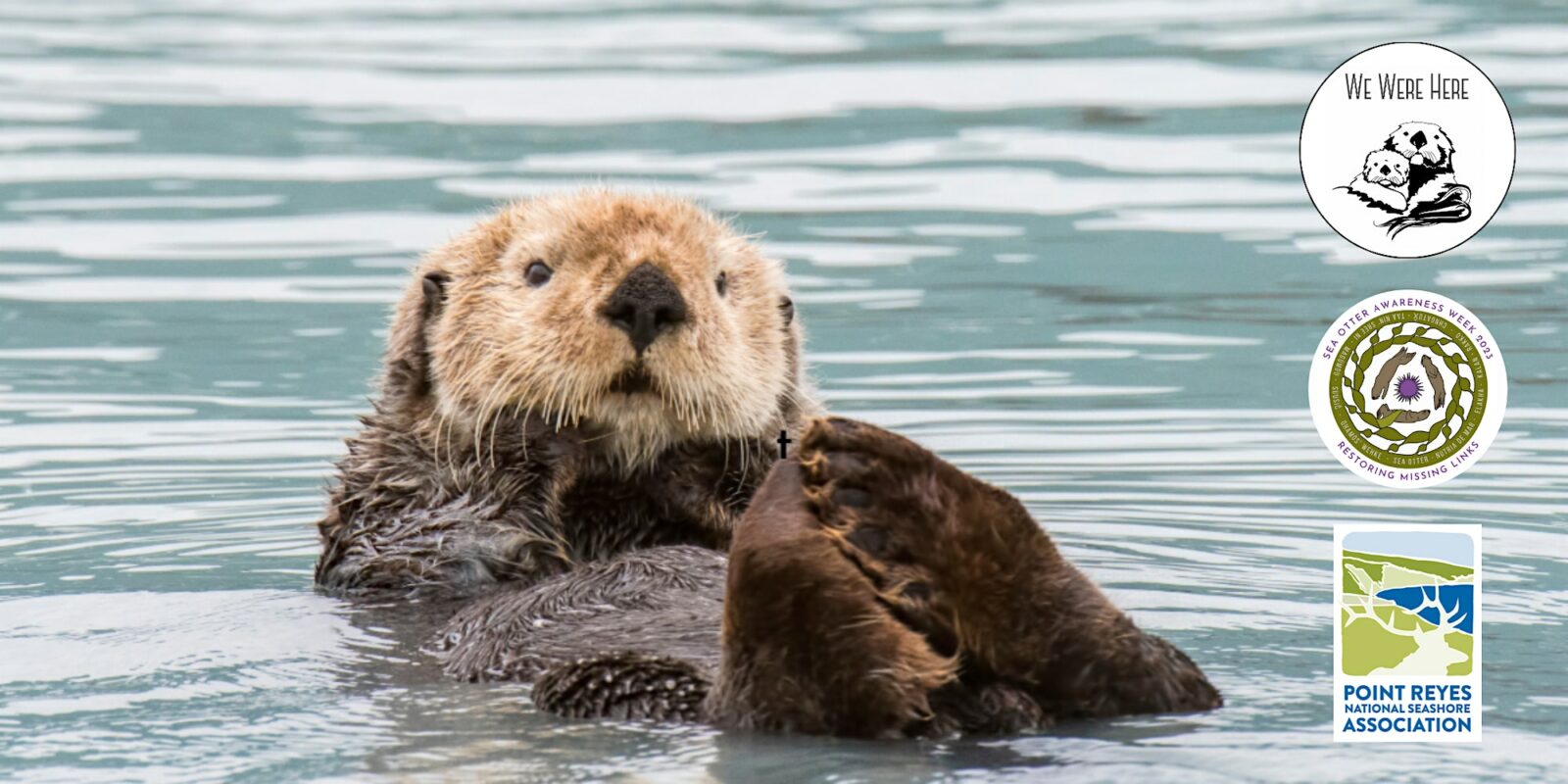 Point Reyes National Seashore Association