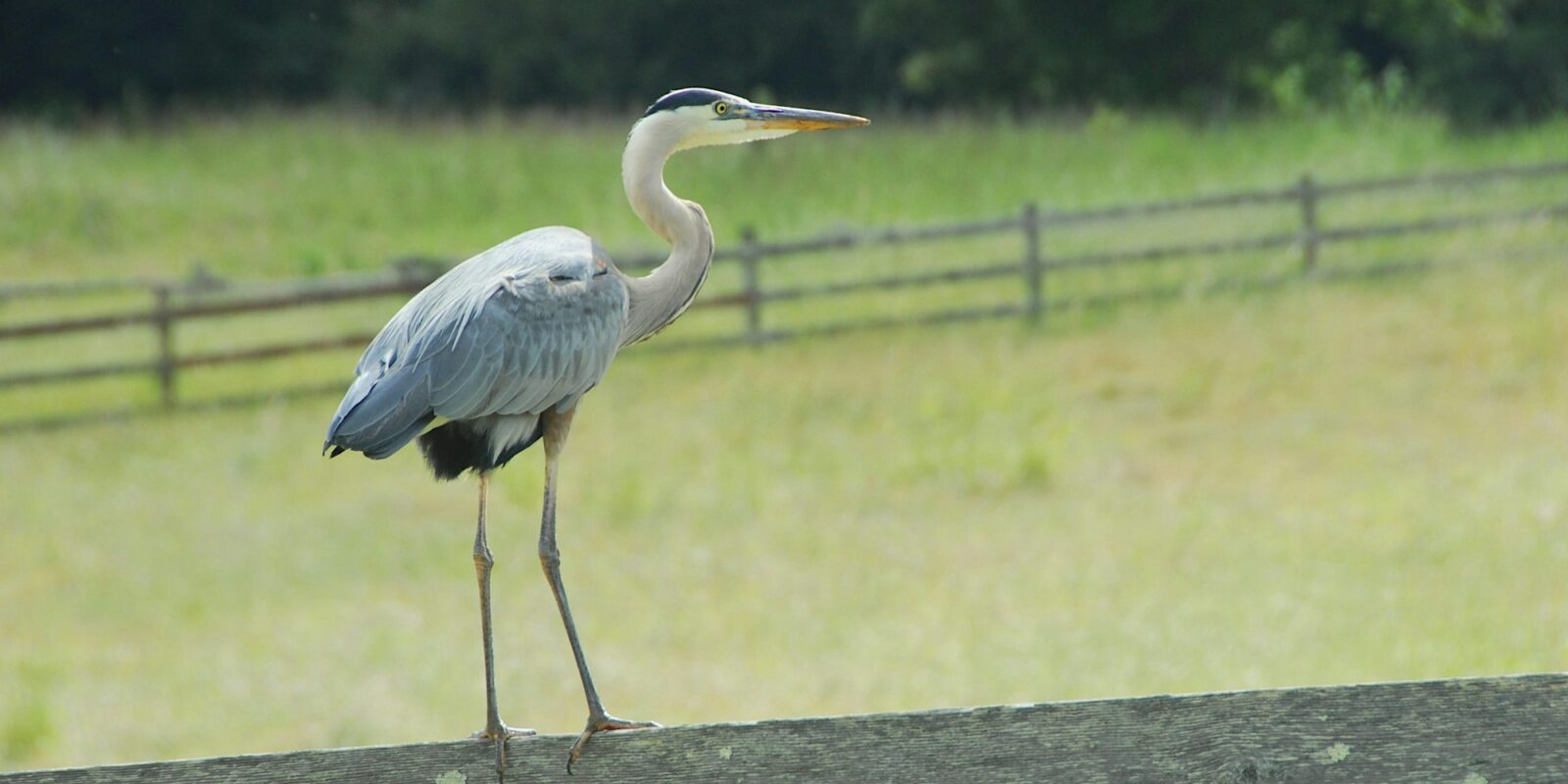 Point Reyes National Seashore Association
