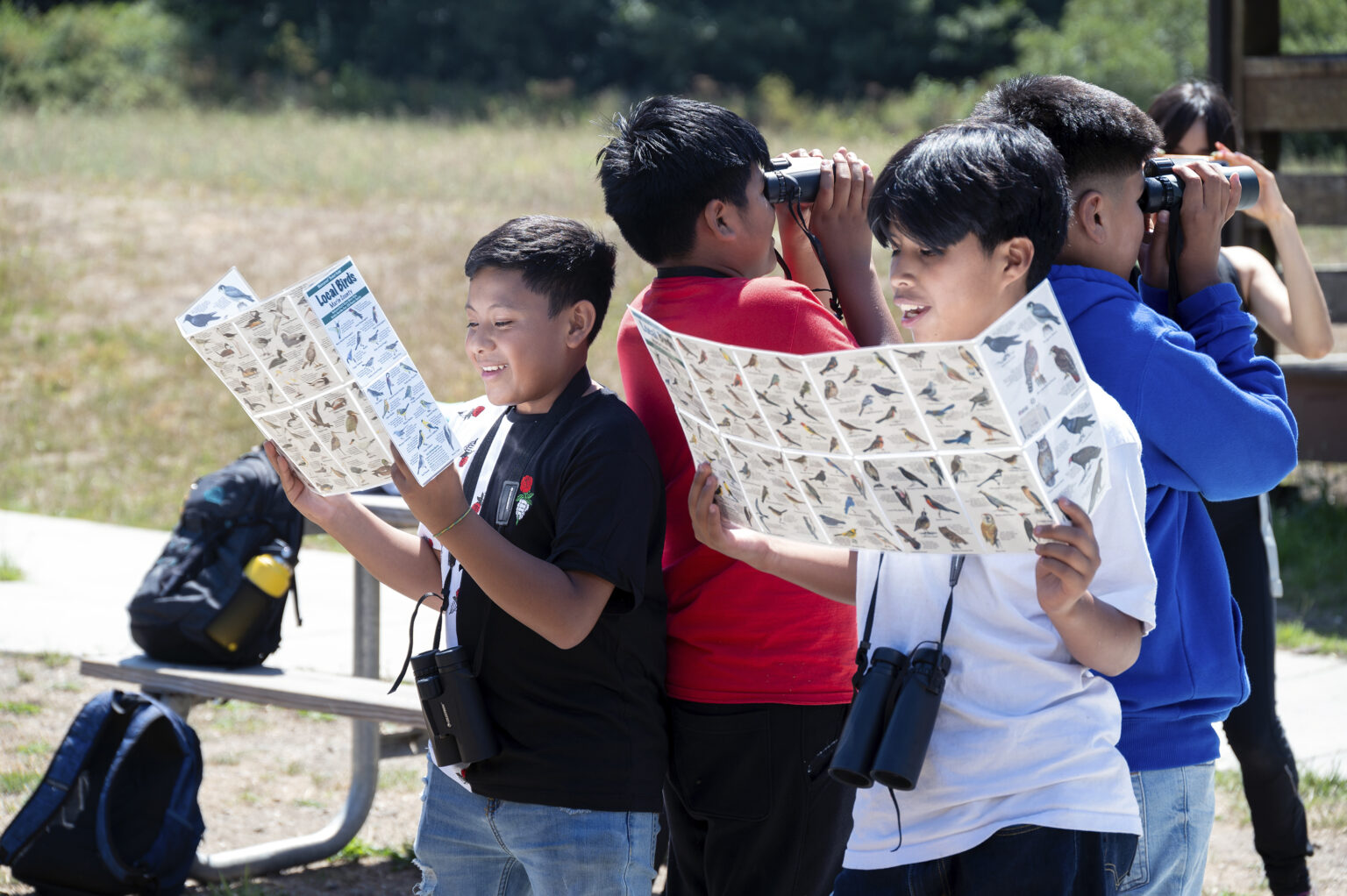 2025 Government Shutdown Updates: Point Reyes National Seashore - Point ...