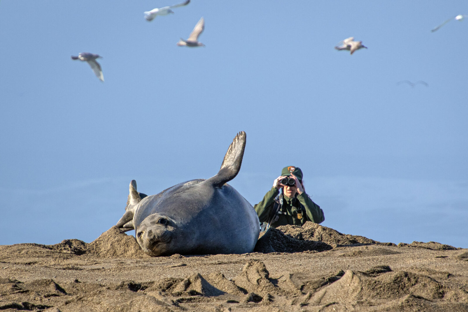 Point Reyes National Seashore Association