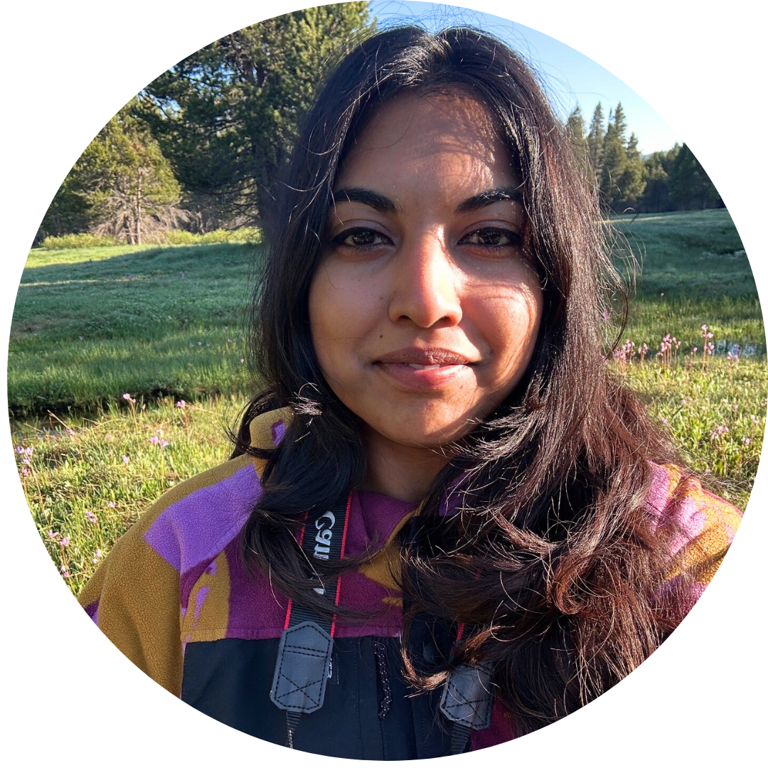 Photographer Spotlight: Ashnee Gounden - Point Reyes National Seashore ...