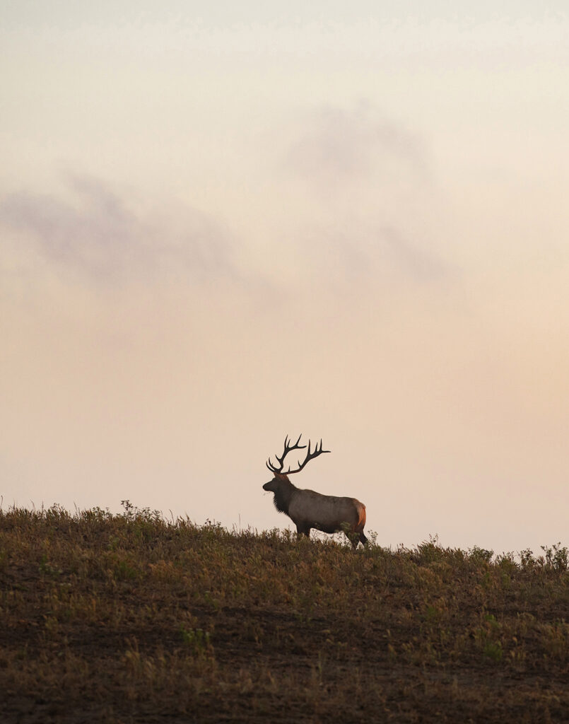 Photographer Spotlight: Crystal Collins - Point Reyes National Seashore ...
